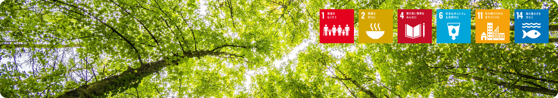 SDGs｜環境・社会活動｜会社情報｜ウチダシステムズ