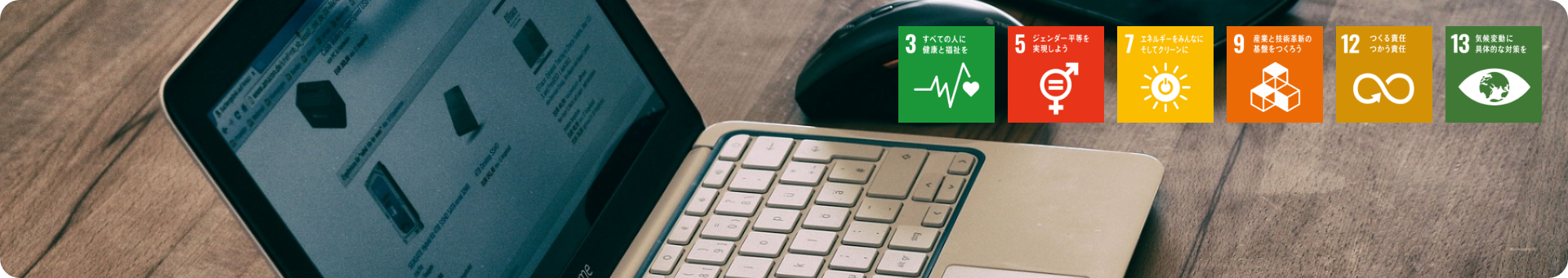 SDGs｜環境・社会活動｜会社情報｜ウチダシステムズ